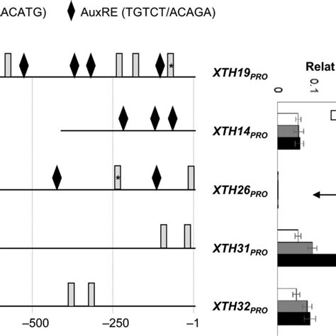 Promoter Architecture Predicts Hormone Sensitivity Left Panel