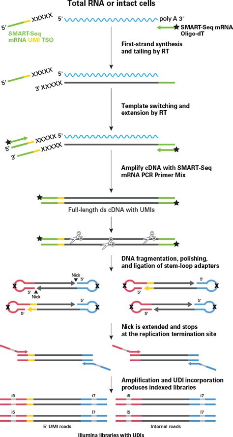Smart Seq Mrna Lp With Umis