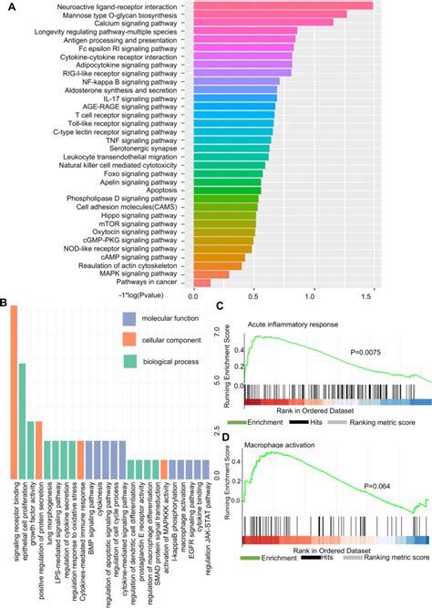 Superior Protective Effects Of Pge2 Priming Mesenchymal Stem Cells Against Lps Induced Acute