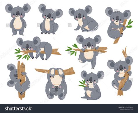 71014 Imágenes De Koala Imágenes Fotos Y Vectores De Stock