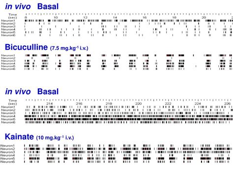 Ppt Sorting The Connections With Multi Electrode Neuronal Ensemble Recording Techniques
