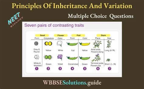 Neet Biology Principles Of Inheritance And Variation Miscellaneous