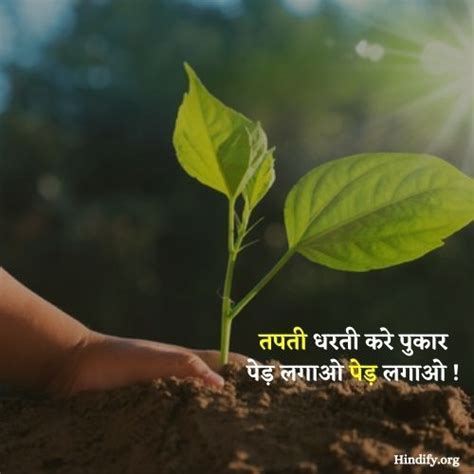 205 Powerful Slogans On Save Trees Artofit