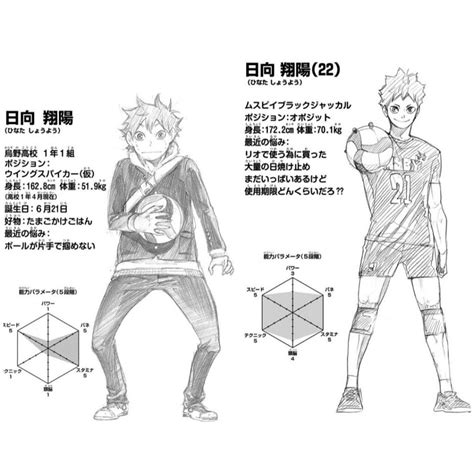 How Tall Is Shoyo Hinata Hinata Haikyuu Height Dgdskd