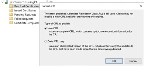 Install Iis Web Server To Host Crl Distribution Point On Server Core