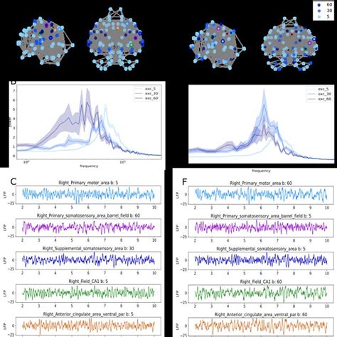 cortical model with heterogeneous b setting as model of rem a