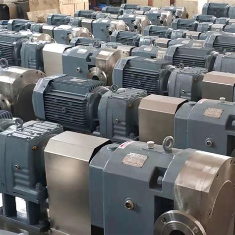 304 316 Material Rotary Lobe Rotor Pump Sanitary Stainless Steel Positive Displacement Pump