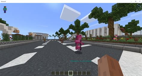 Changed Resource Pack Mobs Models Are Displayed Incorrectly Issue Pmmp PocketMine MP