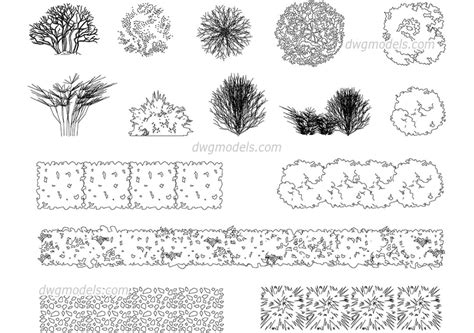 Bushes 1 Dwg Free Cad Blocks Download Landscape Design Drawings