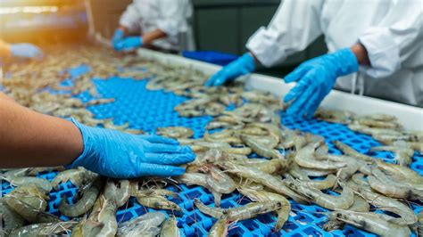Icar Ciba Signs Mou With Agrocel Industries To Enhance Shrimp Farming
