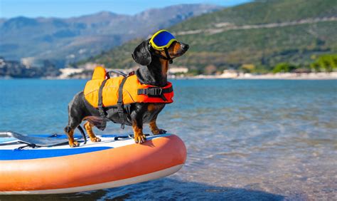 Swr4 Swr4 Added A New Photo