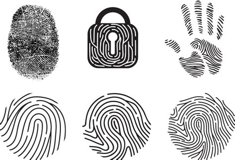 Affirmative And Denied Access Fingerprint Symbol Vector Image
