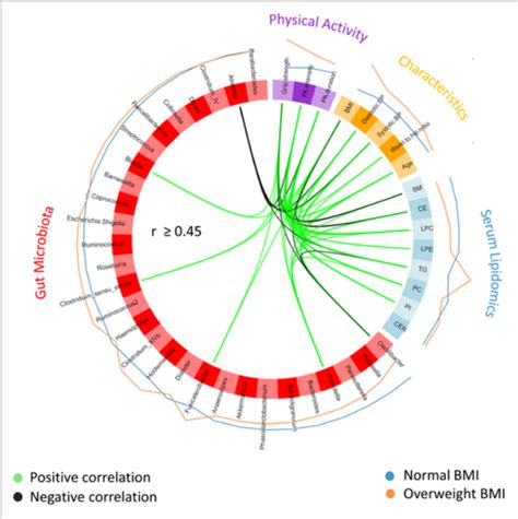 Physical Activity Induced Alterations Of The Gut Microbiota Are Bmi