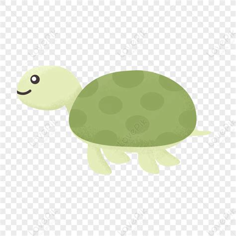 손으로 그린 만화 거북이 Png 일러스트 무료 다운로드 Lovepik