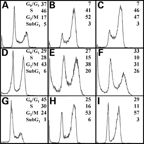 Effects Of The New Curcumin Analogues On Cell Cycle Progression Cell