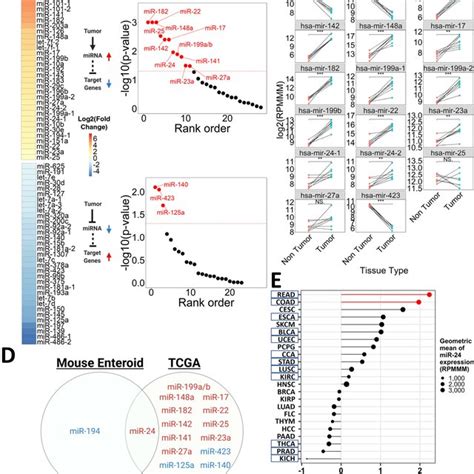 Identification Of Differentially Expressed Mirna Regulators Of Gene