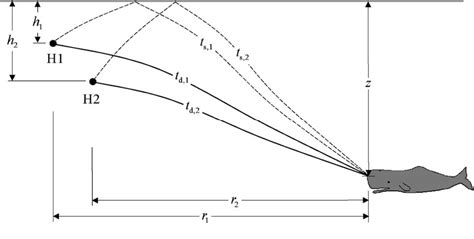 Figure 1 From Two Hydrophone Localization Of A Click Source In The