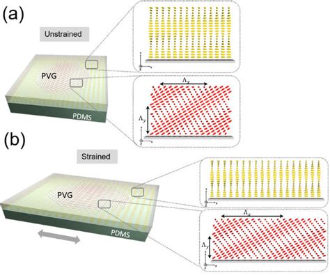 Schematic Illustrations Of PVG Structure And Stretching Process Of PVG Download Scientific