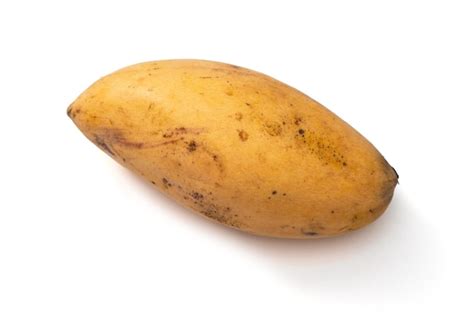 50 Anthracnose Pictures