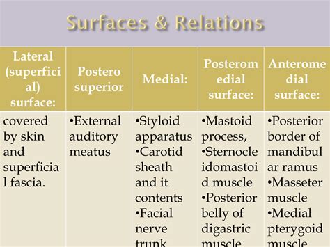 Solution 15 Parotid Region Temporal Fossa Infratemporal Fossa