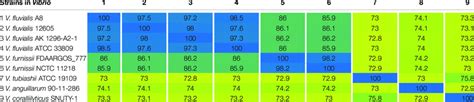 Heatmap Of The Ani Value Between The Conserved Regions In The Genomes