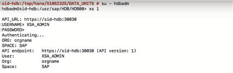 sap hana 2 0 xs advanced installation by the sap sap community