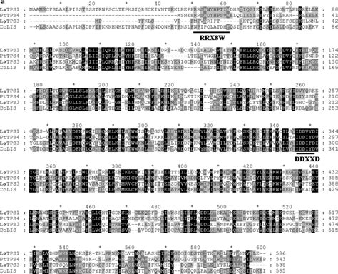 A Amino Acid Alignment Of Lotps1 And Lotps3 Genes With Terpene Synthase