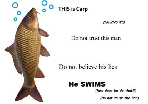 Create A Wafer S Osu Maps Tierlist Tier List TierMaker