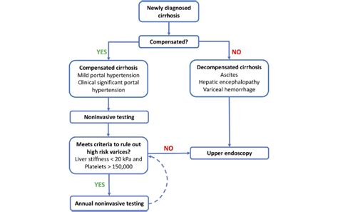 Target Population And The Role Of Noninvasive Testing In Variceal Download Scientific Diagram