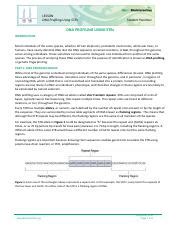 Understanding DNA Profiling Short Tandem Repeats Course Hero