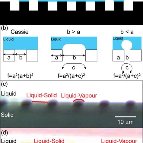 Initial Contact Angle Circles Solid Black Line And Receding Angle Download Scientific