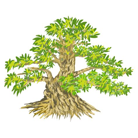 Banyan Tree Bonsai Logo Vector Banyan Bonsai Bonsai Illustration Png