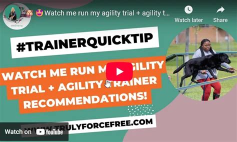Trainer Quick Tip Watch Me Run My Agility Trial And Agility Trainer Recommendations Truly