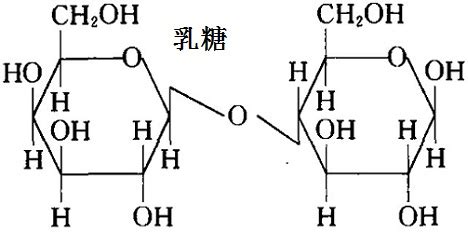 乳糖 Cas 63 42 3