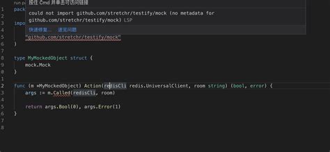 Gopls No Metadata Import Error Issue Golang Go GitHub