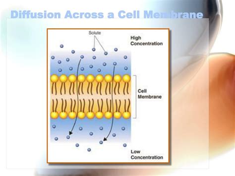 PPT Cell Structure And Function PowerPoint Presentation Free Download ID 3562043