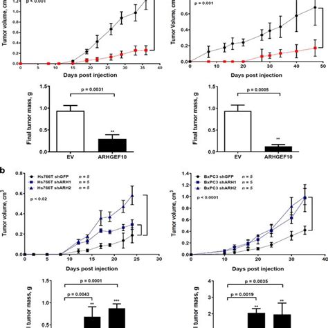 Loss Of Arhgef10 Expression Increases Proliferation Of Pdac Cell Lines