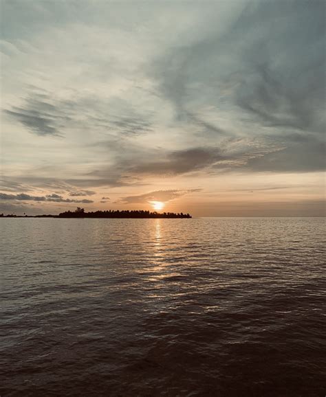 David Carollo Italians Do It Better Flattered For My Opening Set For Italian Talents