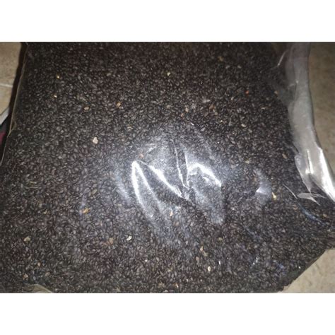 Jual Biji Selasi 250gram Shopee Indonesia