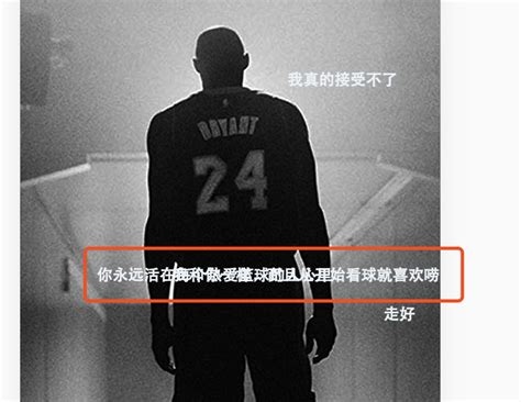 Issue Zerosoul Rc Bullets Github