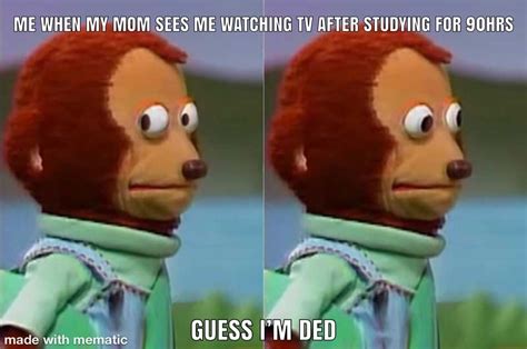 New Memes Lol R Stevenhe