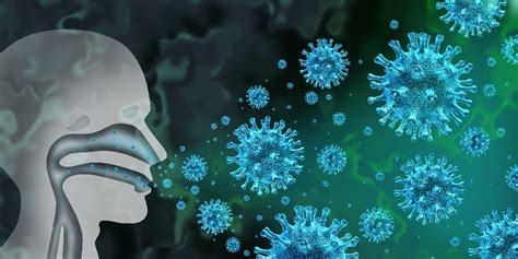 Influenza A Unraveling The Mystery Of H1n1 And H3n2 Creative Diagnostics