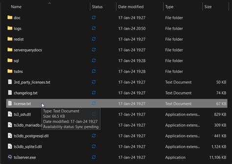 Can T Start A TS Local Server TeamSpeak Server TeamSpeak