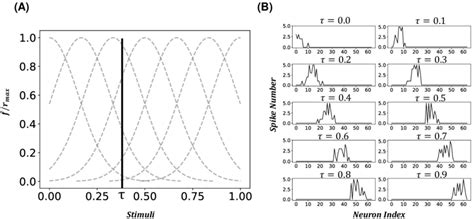 The Spiking Activity Of Population Neuron A Population Neurons With