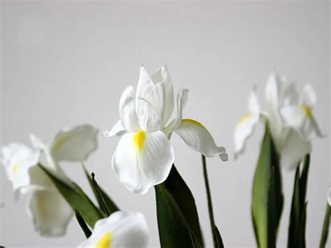 Artificial Iris Flower From Plantifya China
