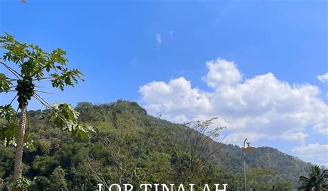 Lor Tinalah Jogja Harga Menu Jam Buka Dan Lokasi Luru Wisata