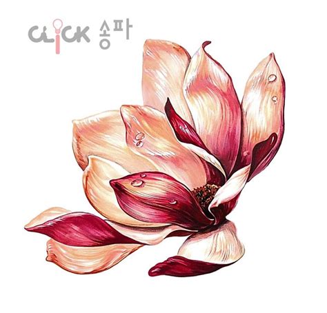 기초디자인 송파클릭 그림 목련 꽃 그리기