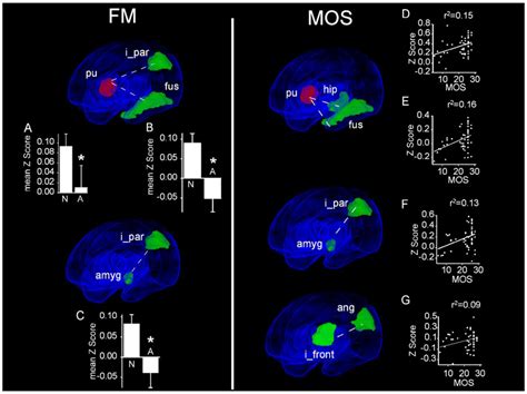 Altered Resting State Functional Connectivity In Infants As A Function