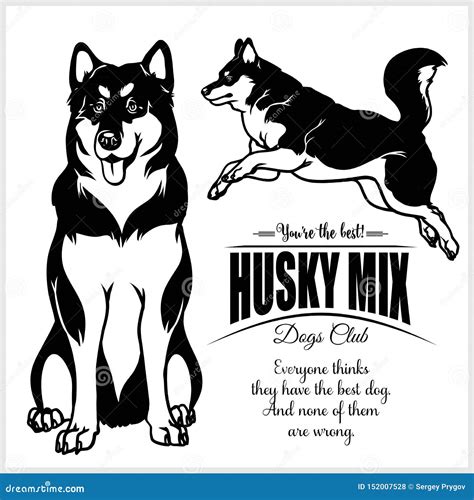 Husky Mix Vector Illustration For T Shirt Logo And Template Badges
