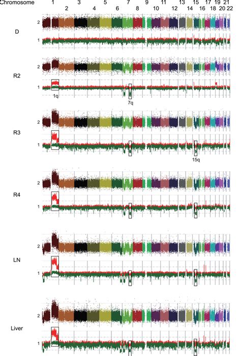 Results Of SNP Array Analysis In Each Sample Colorful Dots At The Top Download Scientific